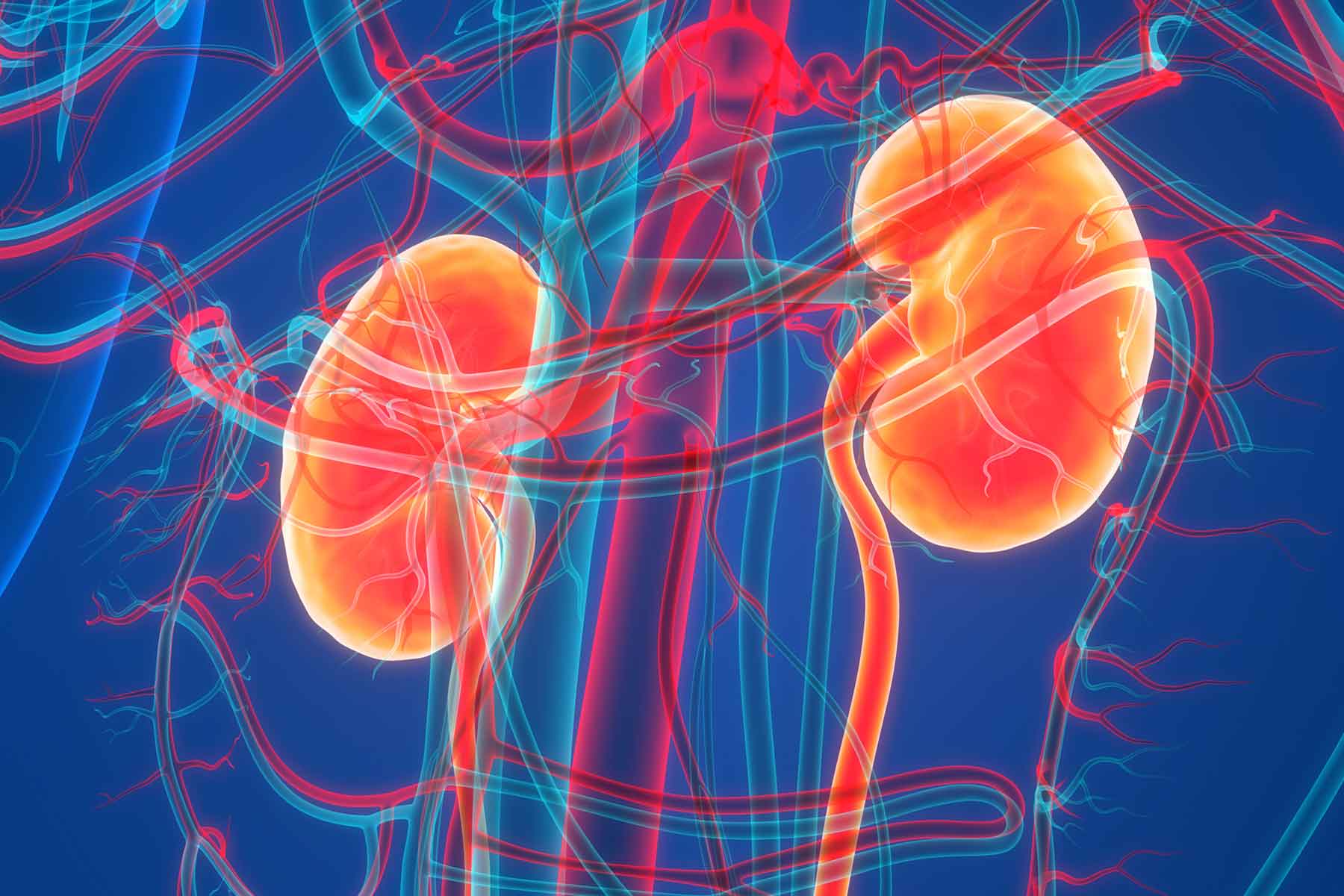 Nephrology | Karger Publishers