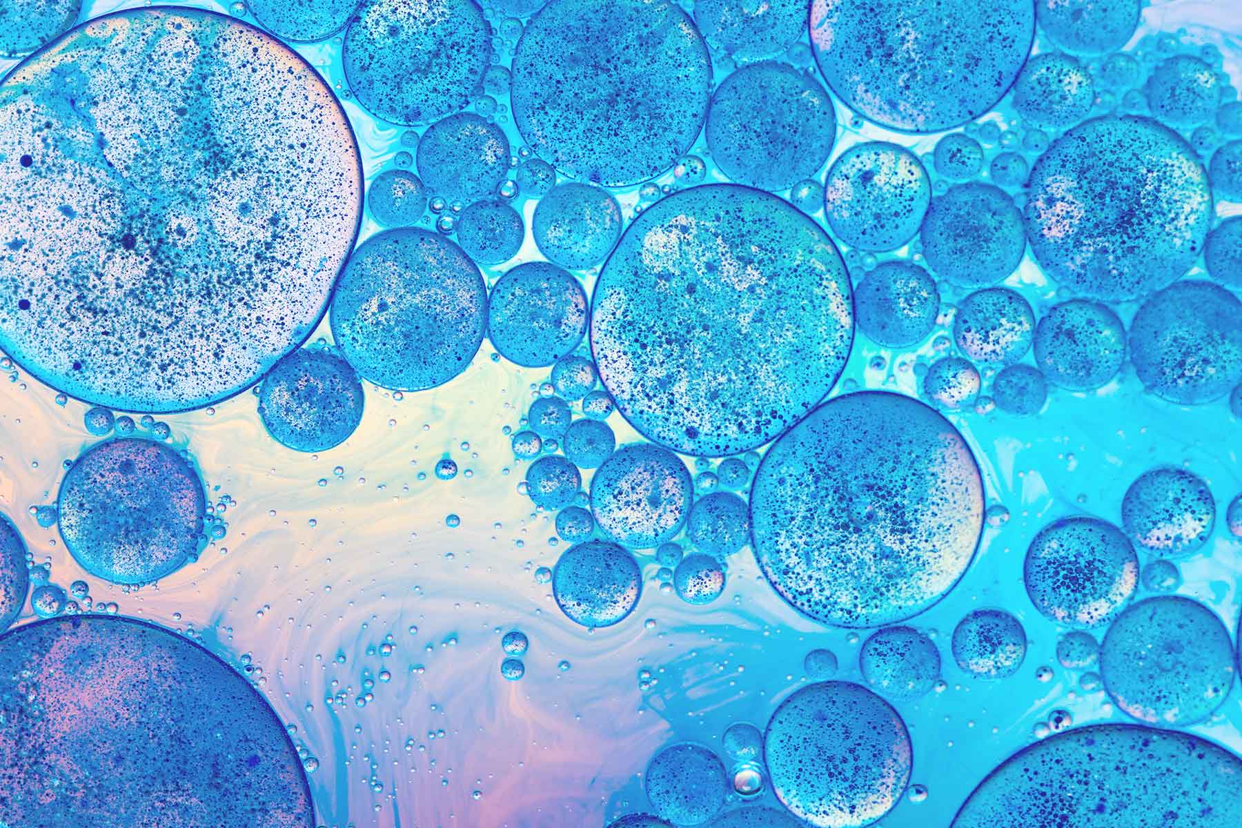 Pathology and Cell Biology | Karger Publishers