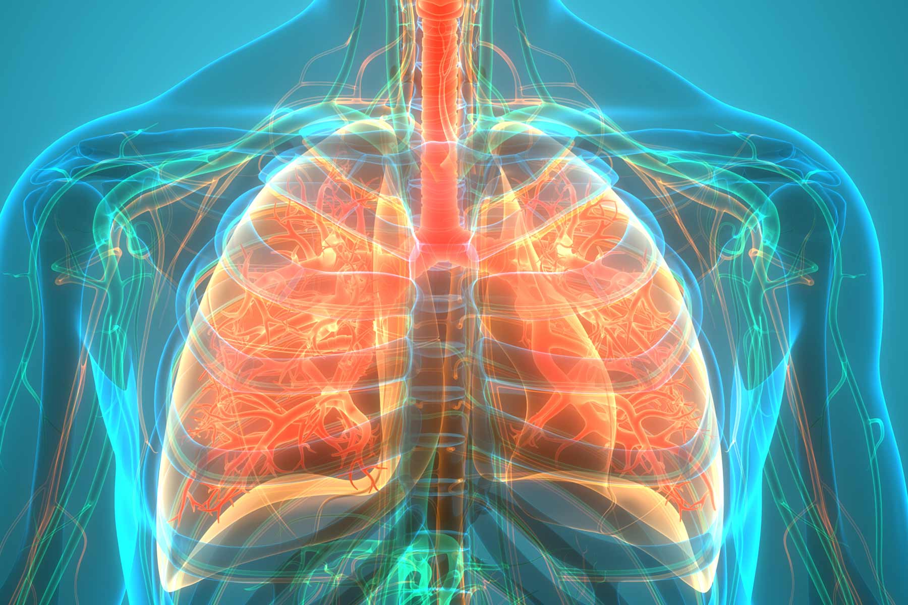 Pneumology | Karger Publishers