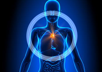 Article Collections | Karger Publishers