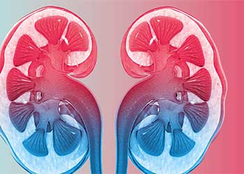 Nephrology | Karger Publishers