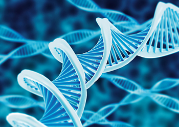 Article Collections | Karger Publishers