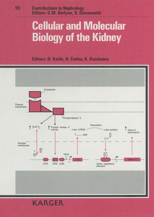 Role of the Na:K Pump in Potassium Handling by the Distal Nephron ...
