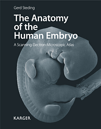 2.4 The Development of the Pharynx | The Anatomy of the Human EmbryoA ...