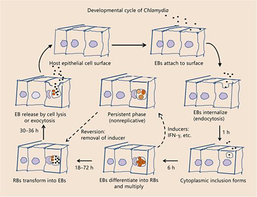 Introduction | Chlamydial Infection: A Clinical and Public Health ...