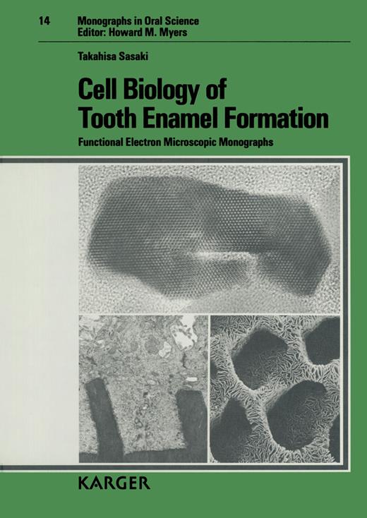 Cell Biology of Tooth Enamel FormationFunctional Electron Microscopic ...