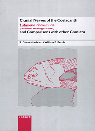 Cranial Nerves of the Coelacanth, Latimeria chalumnae (Osteichtyes ...