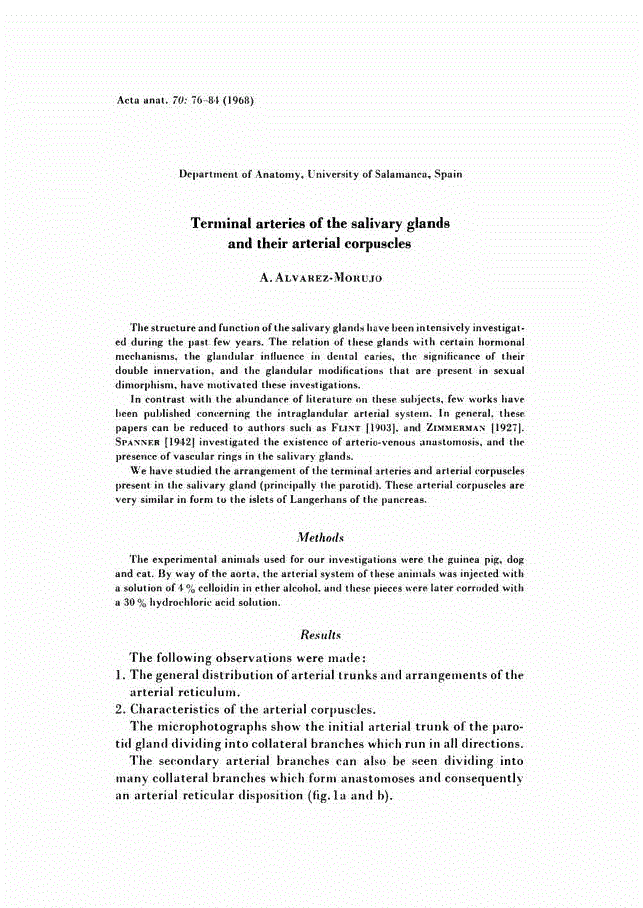 Terminal arteries of the salivary glands and their arterial corpuscles ...