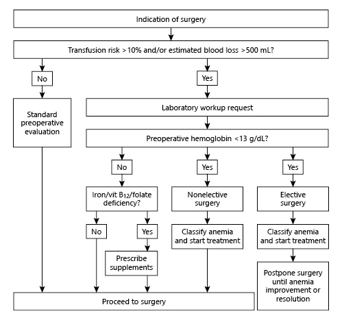 Management of Perioperative Iron Deficiency Anemia | Acta Haematologica ...