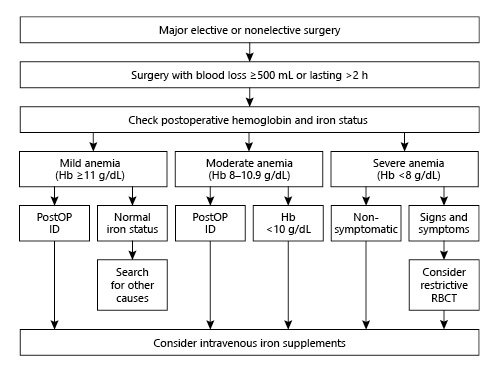 Management of Perioperative Iron Deficiency Anemia | Acta Haematologica ...