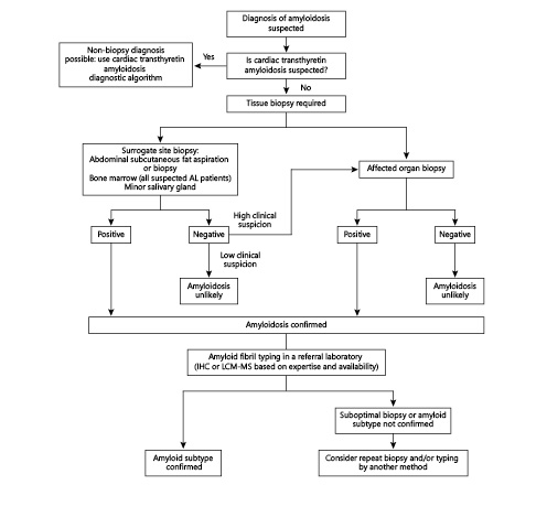 Confirming the Diagnosis of Amyloidosis | Acta Haematologica | Karger ...