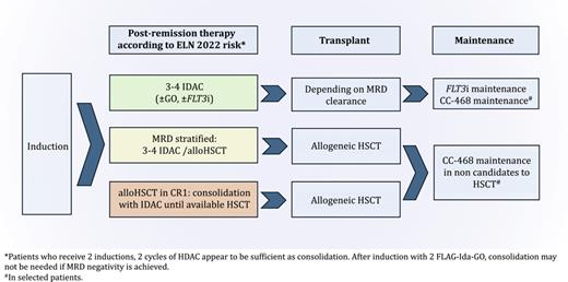 Optimal Post-Remission Consolidation Therapy in Patients with AML ...