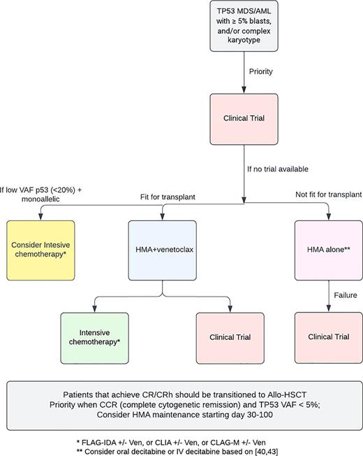 TP53-Mutated Myelodysplastic Syndrome and Acute Myeloid Leukemia: Current Guidelines, Therapies ...