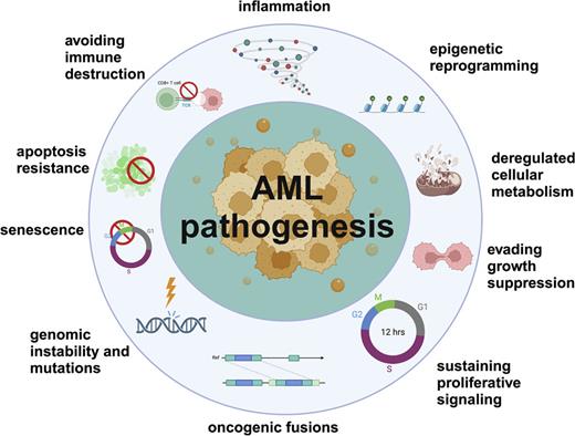 Pathophysiology of Acute Myeloid Leukemia | Acta Haematologica | Karger Publishers