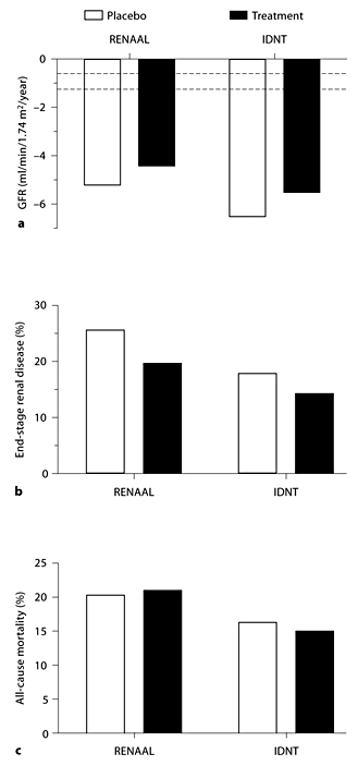 Role of the Intrarenal Renin-Angiotensin-Aldosterone System in Chronic ...