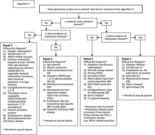 Differential Diagnosis of Glomerular Disease: A Systematic and ...