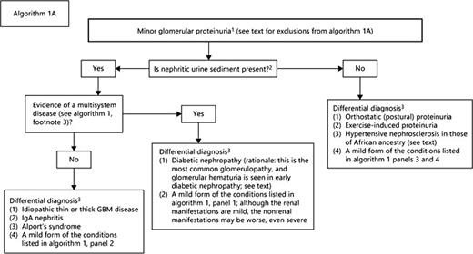 Differential Diagnosis of Glomerular Disease: A Systematic and ...