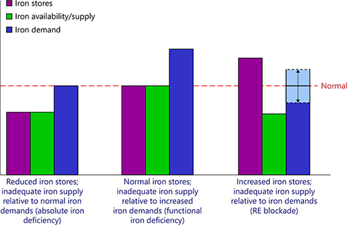Positive Iron Balance in Chronic Kidney Disease: How Much is Too Much ...