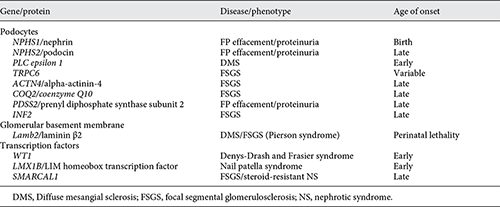 A Review of Podocyte Biology | American Journal of Nephrology | Karger ...