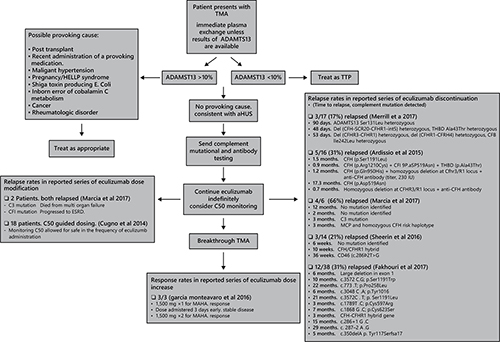 When to Stop Eculizumab in Complement-Mediated Thrombotic ...