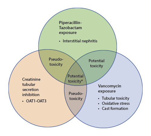 Nephrotoxicity from Vancomycin Combined with Piperacillin-Tazobactam: A ...