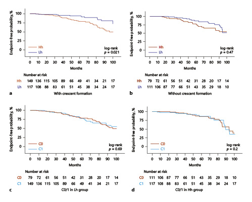Clinical Significance of Persistent Hematuria Degrees in Primary IgA ...