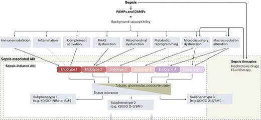 Biomarker Enrichment in Sepsis-Associated Acute Kidney Injury: Finding ...