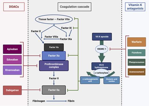 Anticoagulation in Patients with Chronic Kidney Disease | American ...