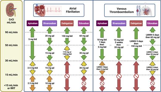 Anticoagulation in Patients with Chronic Kidney Disease | American Journal of Nephrology ...