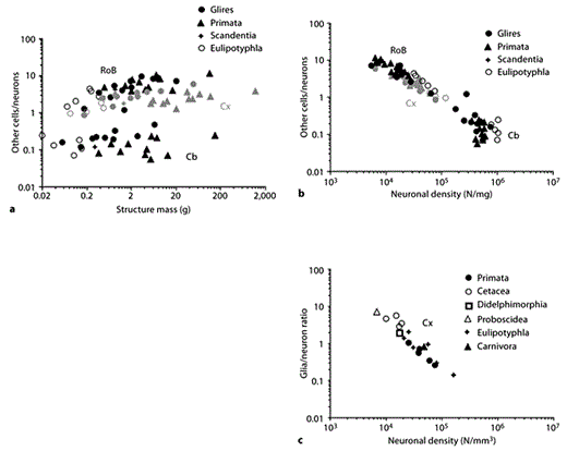 Not All Brains Are Made the Same: New Views on Brain Scaling in ...