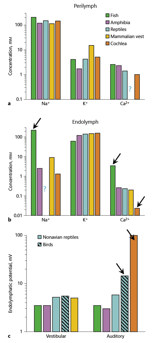 Evolution of Endolymph Secretion and Endolymphatic Potential Generation ...