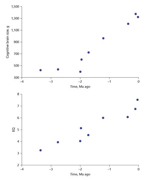 A Farewell to the Encephalization Quotient: A New Brain Size Measure ...