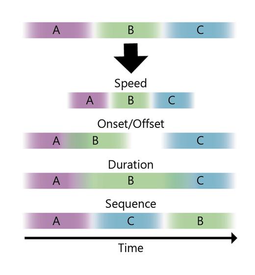 Timing as a Mechanism of Development and Evolution in the Cerebral ...