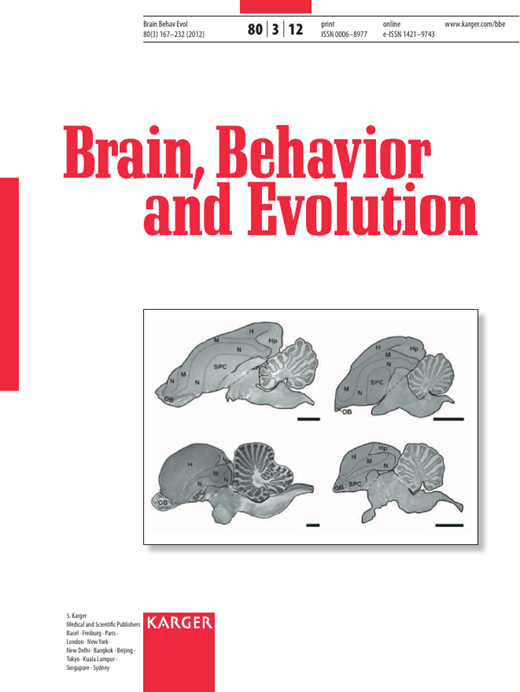 Brain Evolution across the Puerto Rican Anole Radiation | Brain ...