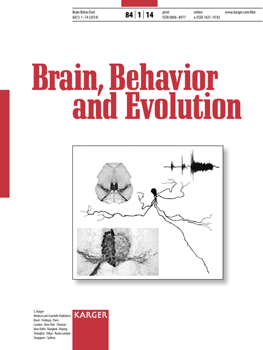 Doublecortin Is a Highly Valuable Endogenous Marker of Adult ...
