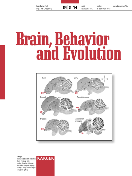 The Distribution of Doublecortin-Immunopositive Cells in the Brains of ...