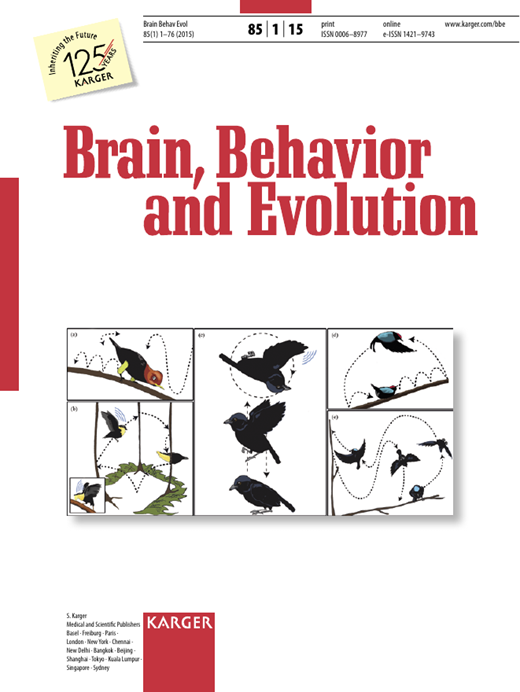 Even the Smallest Mammalian Brain Has Yet to Reveal Its Secrets | Brain Behavior and Evolution ...