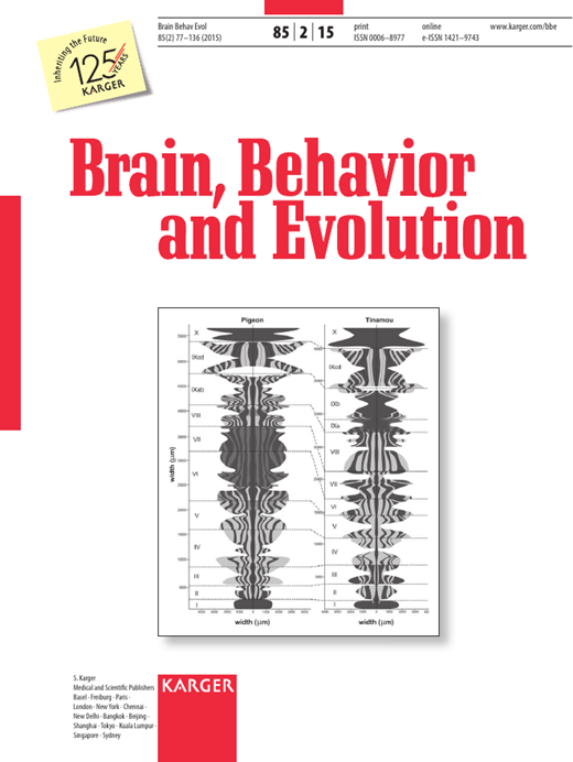 Microhabitat Use Affects Brain Size and Structure in Intertidal Gobies | Brain Behavior and ...