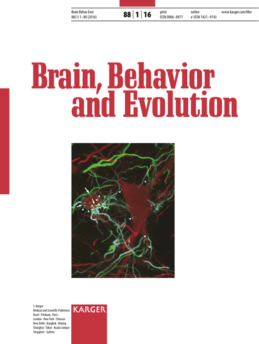 Nucleus Ruber of Actinopterygians | Brain Behavior and Evolution ...