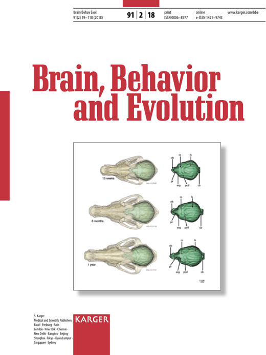 Homology in Amniote Brain Evolution: The Rise of Molecular Evidence ...
