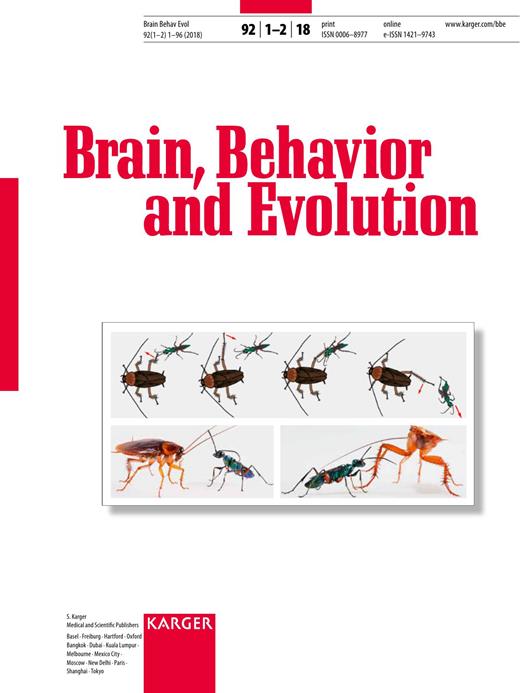 Retinal Morphology and Visual Specializations in Three Species of ...