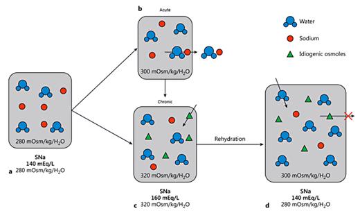 Treatment of Hypernatremia in Breastfeeding Neonates: A Systematic ...