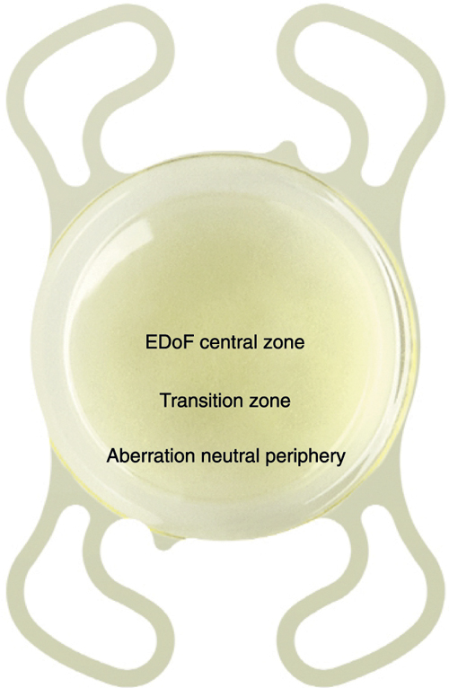 Enhanced Depth of Focus Intraocular Lenses: Through Focus Evaluation of ...