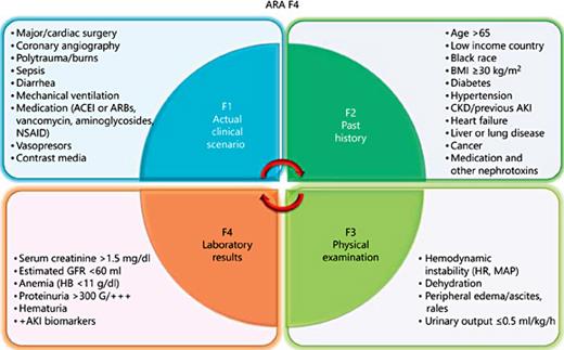 Acute Kidney Injury Risk Assessment and the Nephrology Rapid Response ...