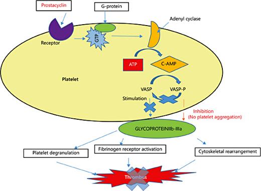 Prostacyclin as an Anticoagulant for Continuous Renal Replacement ...