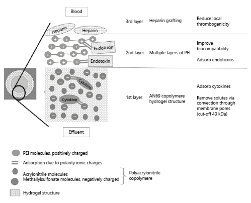 Extracorporeal Blood Purification Therapies for Sepsis | Blood ...