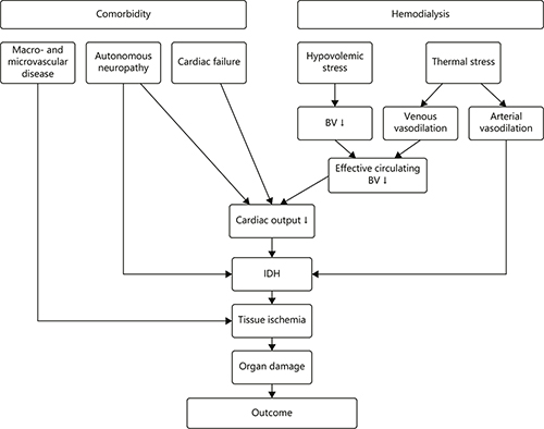 Intradialytic Hypotension: Mechanisms and Outcome | Blood Purification ...