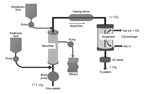 Extracorporeal CO2 Removal Integrated within a Continuous Renal ...