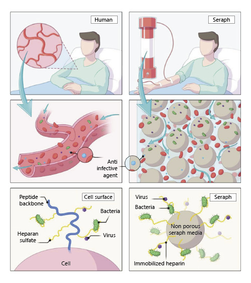 Heparin 2.0: A New Approach to the Infection Crisis | Blood ...