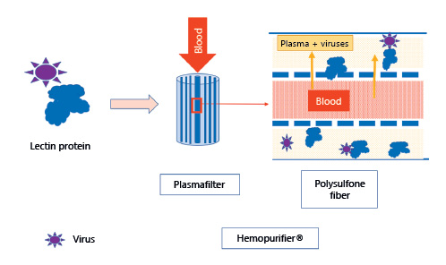 New Targets for Extracorporeal Blood Purification Therapies in Sepsis ...